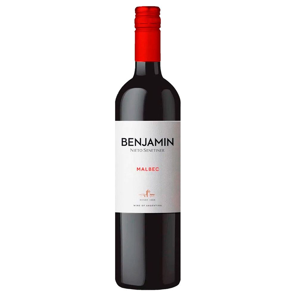 Vinho Benjamin Nieto Malbec 750ml - dinho